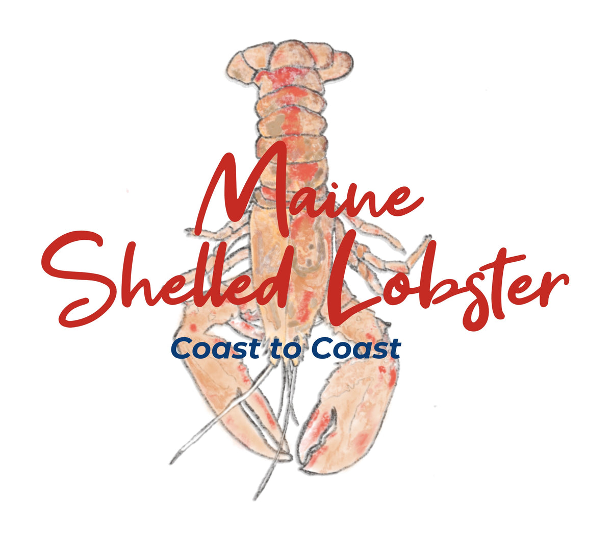 Shop Maine Lobster Meat - Frozen Lobster Tails and Claw & Knuckle Meat ...