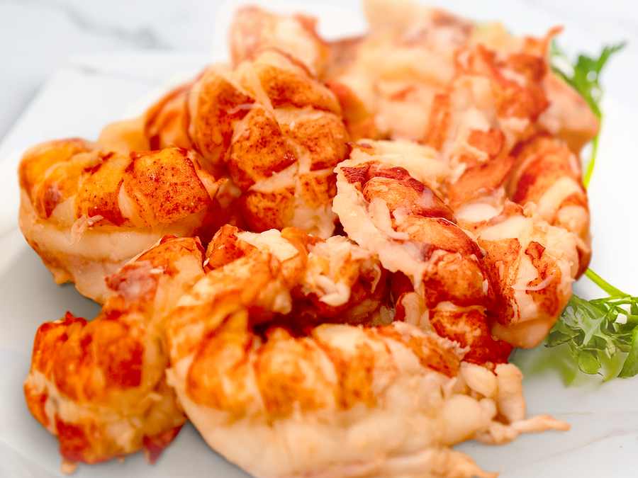 Lobster Meat - Shop Maine Lobster Online and Delivered to You – Maine ...